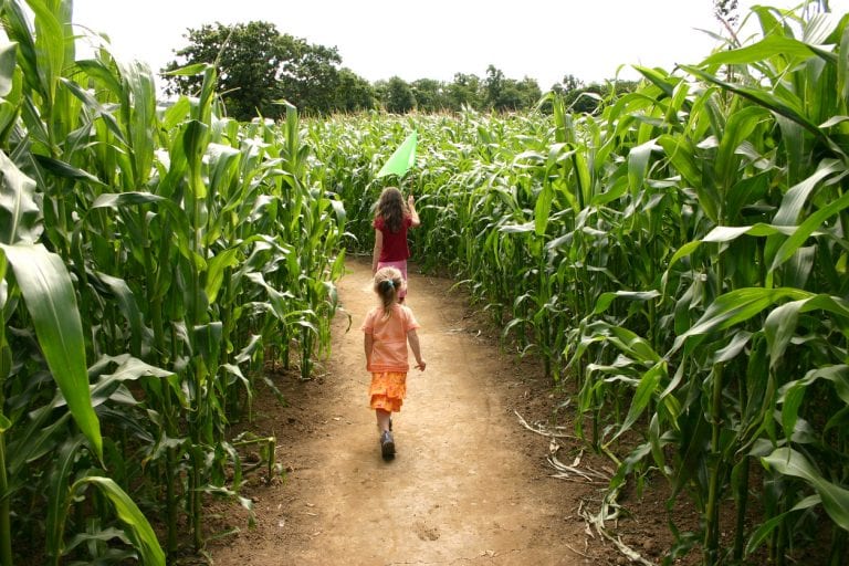 20+ Corn Mazes & Pumpkin Patches Near Atlanta - NEW Atlanta Parent