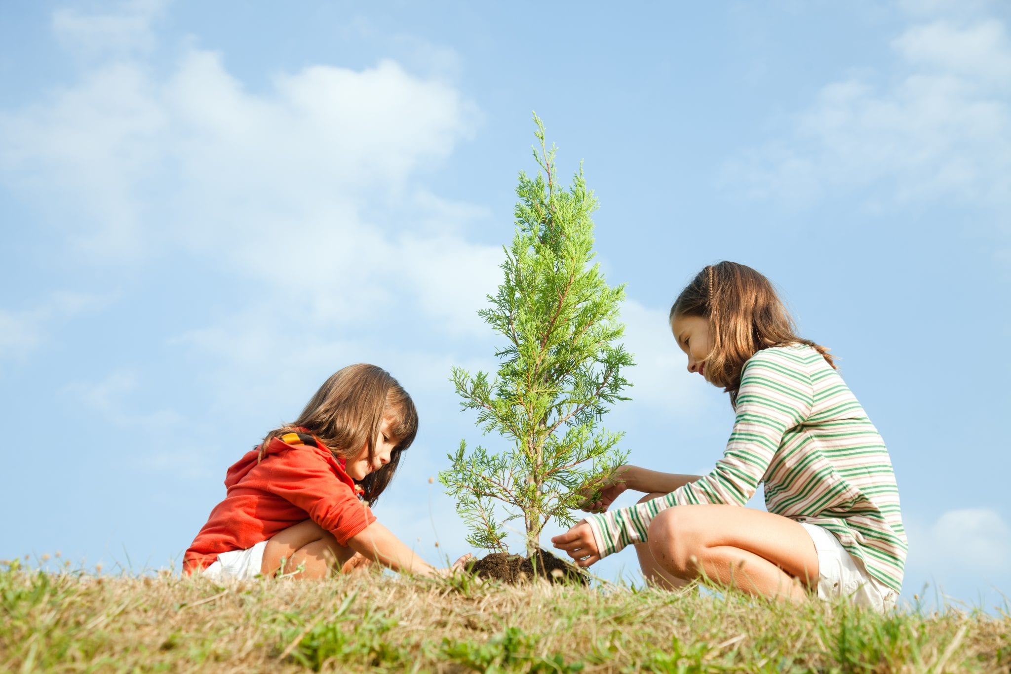 Make Every Day Earth Day 10 Eco Friendly Products For Parents And Kids make-every-day-earth-day-10-eco-friendly-products-for-parents-and-kids