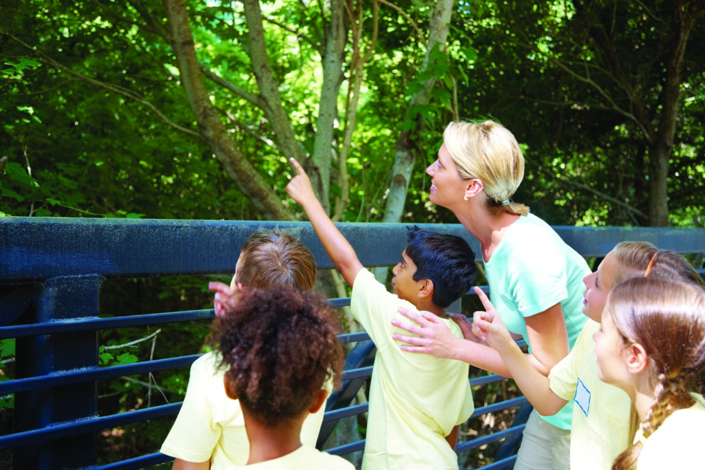 Top Field Trips for Schools, Groups and Families in Atlanta and Beyond ...