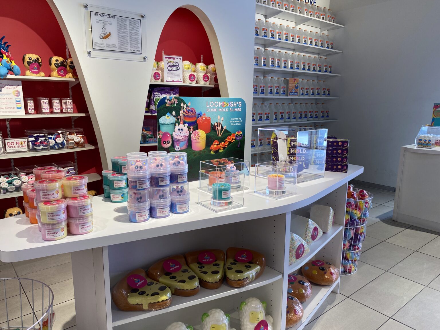 Now Open! LooMoosh's Magnificent Slime Mold at Sloomoo Institute ...